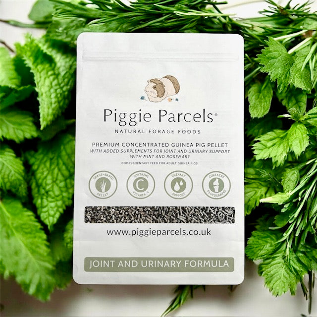 Guinea Pig Pellet - Joint and Urinary Support Formula 1kg – Piggie Parcels